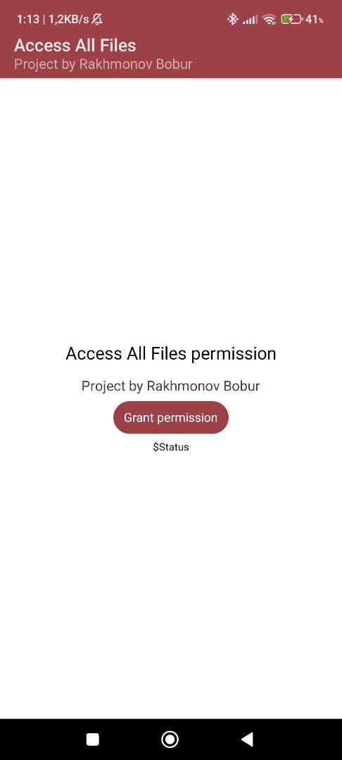 Sketchub • Access All Files Permission