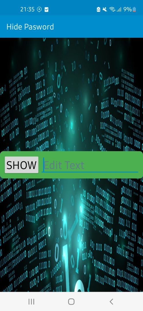 Sketchub • Hide Password